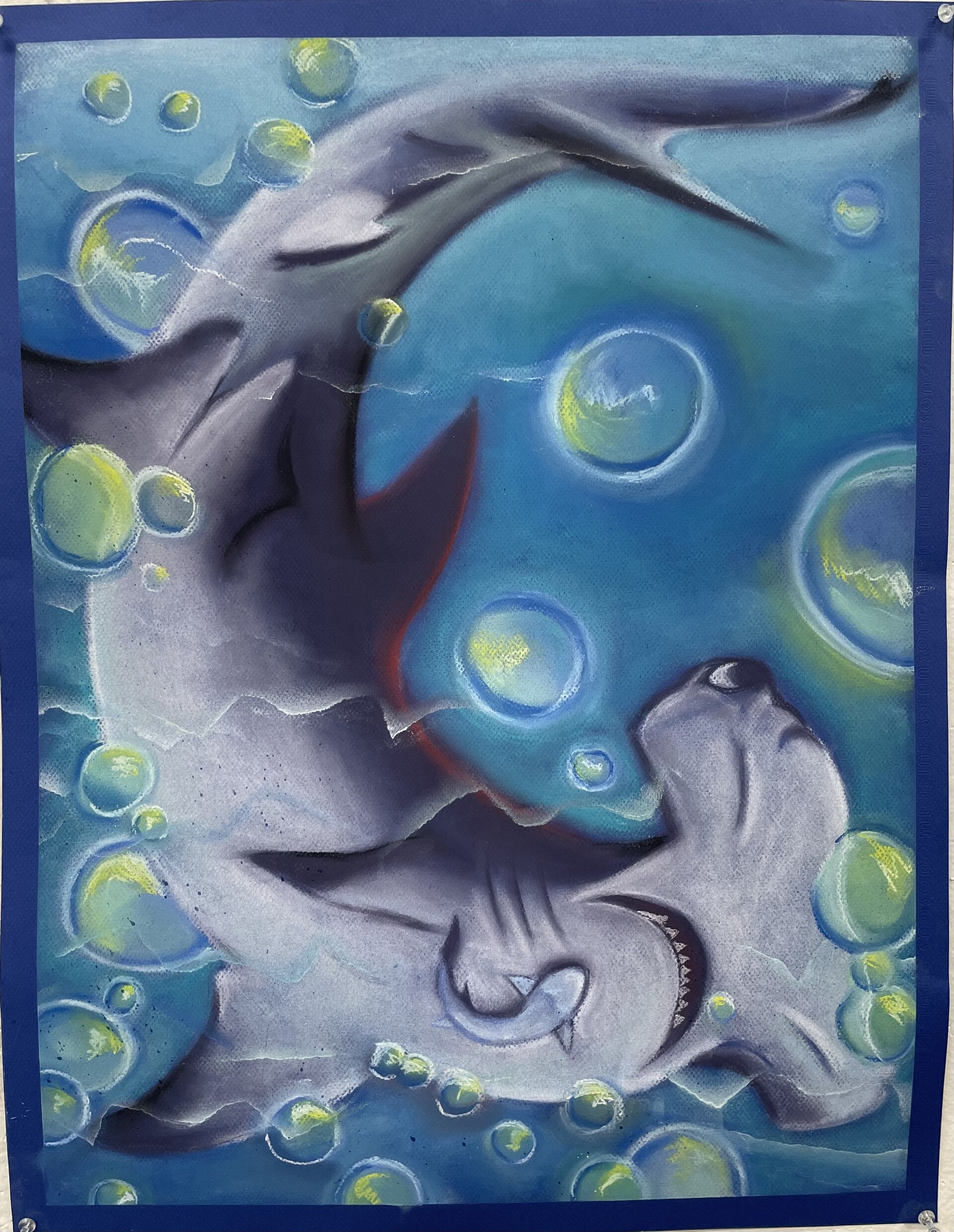 ArtStation - Shark Bubbles