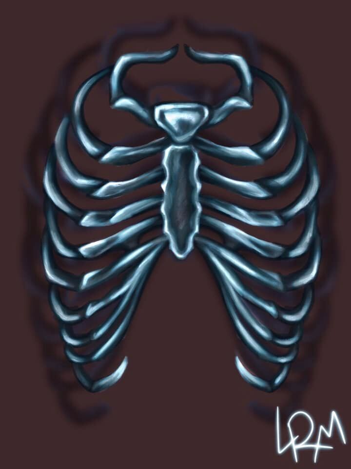 Miss Moon Illustration - Stylised Anatomy