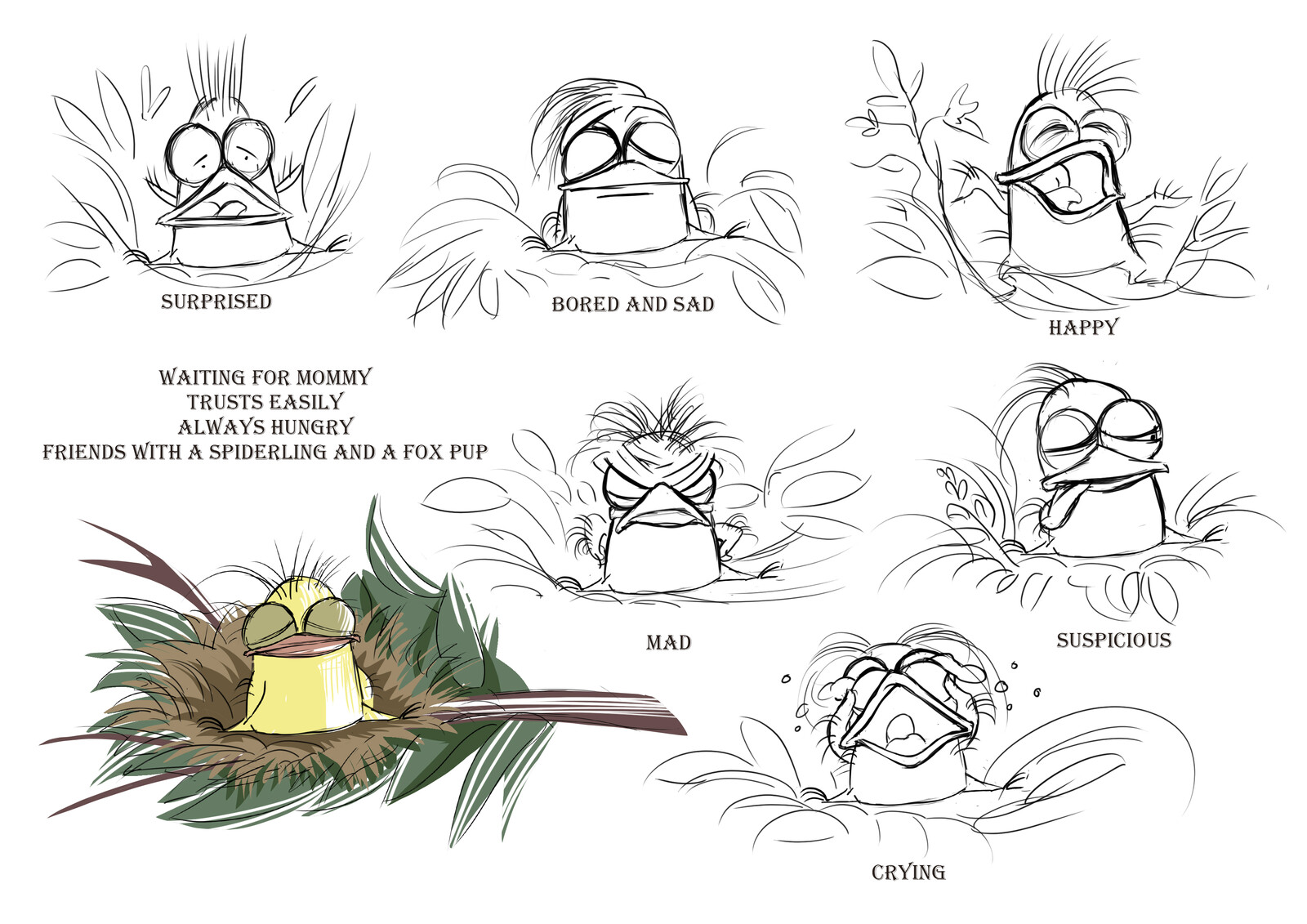 Zahra Zare - Kooch project