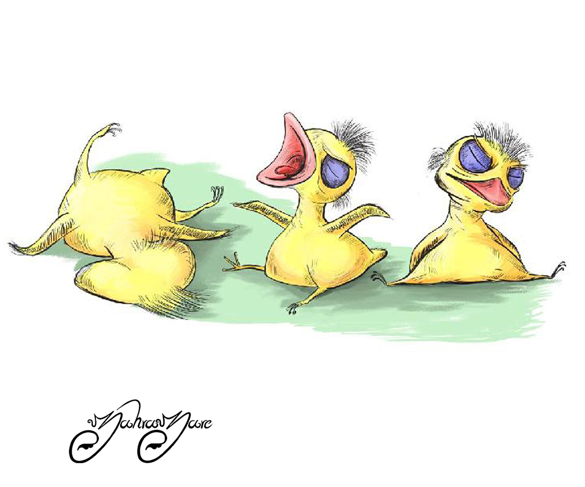 Zahra Zare - Kooch project