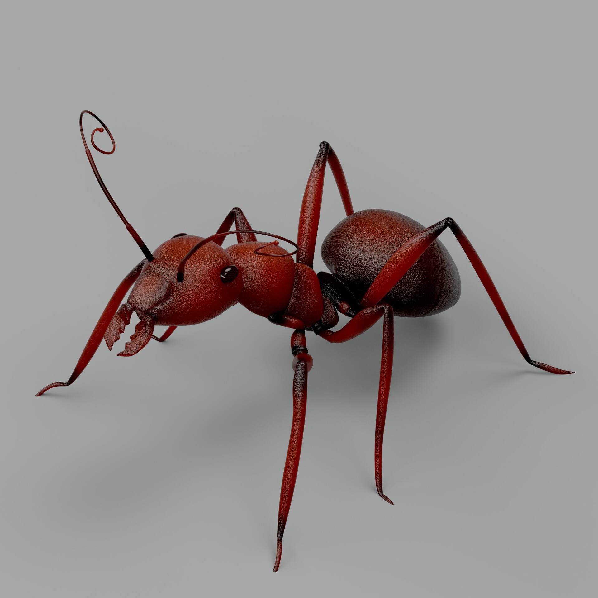 ArtStation - ant