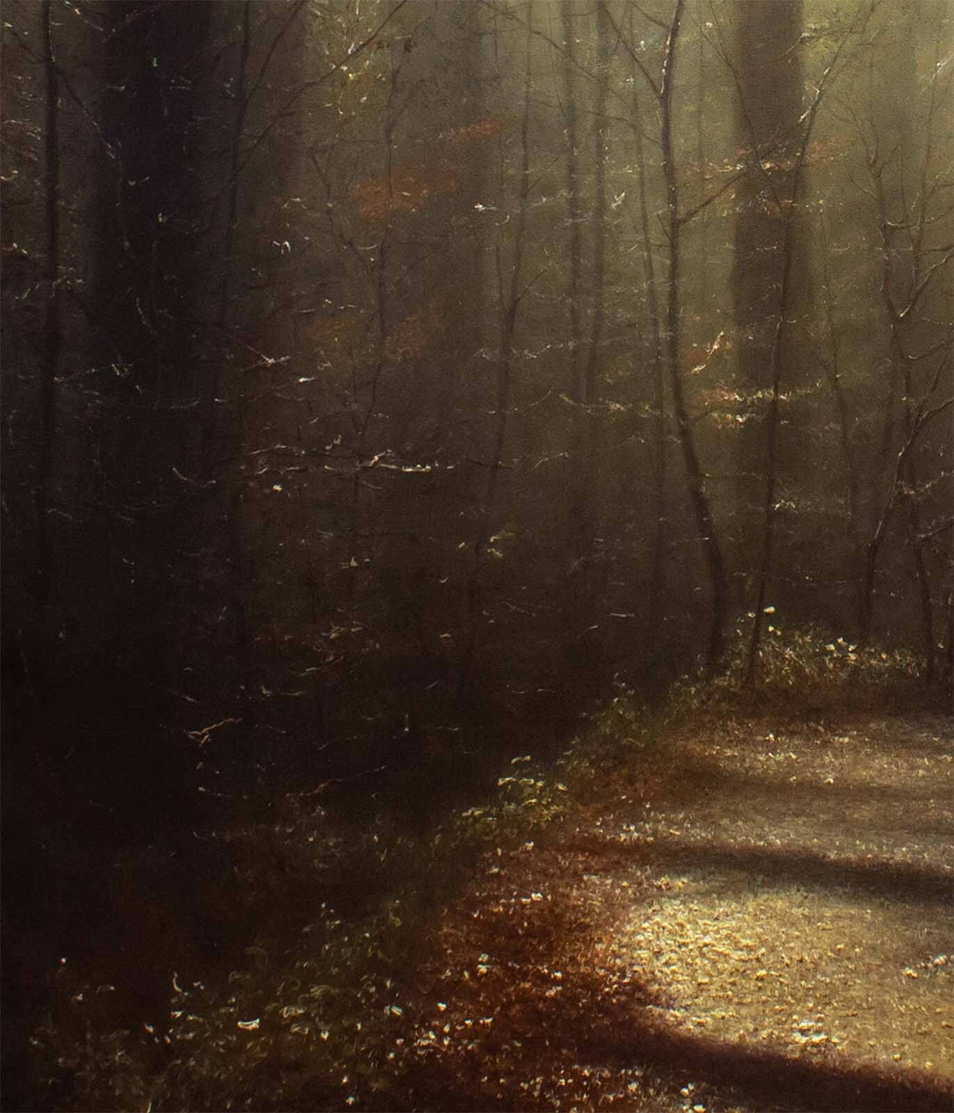 Michael Handt - Misty Forest in Autumn - 6 years later