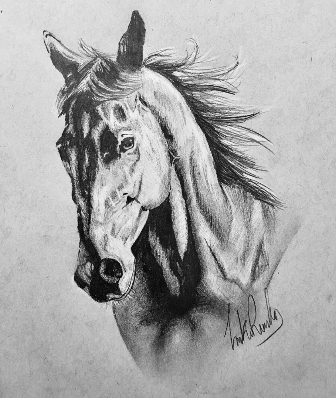 ArtStation - Horse Drawing
