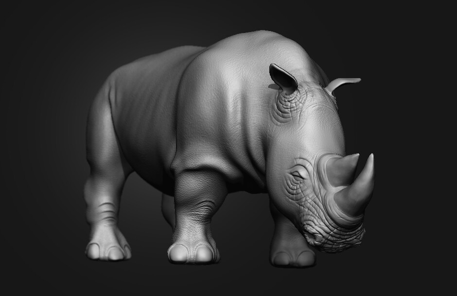 ArtStation - Rhino anatomy study