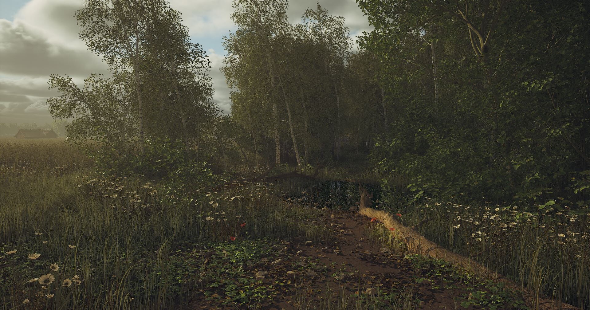 ArtStation - The Little Forest