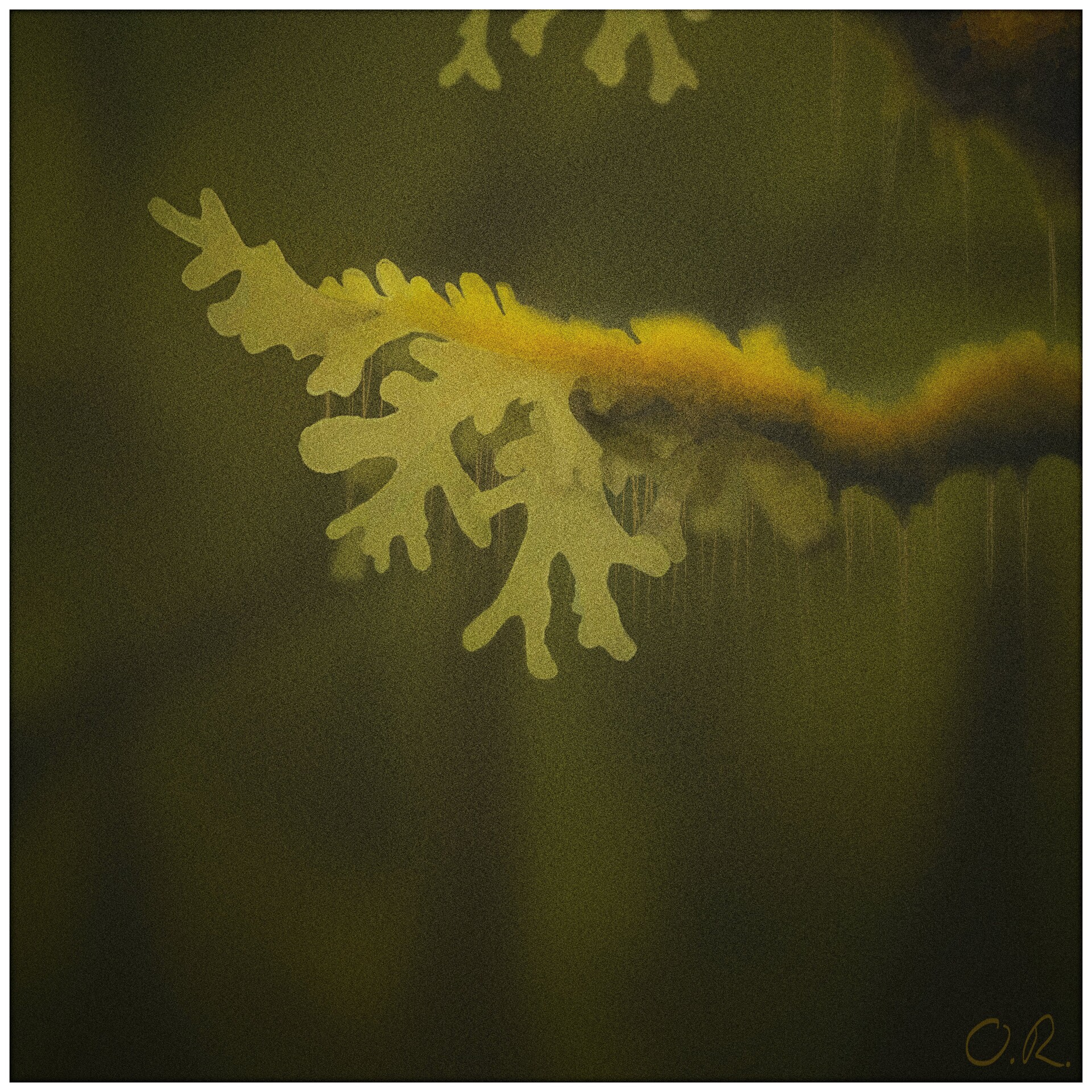 ArtStation - Symbiosis I: Photosynthesis