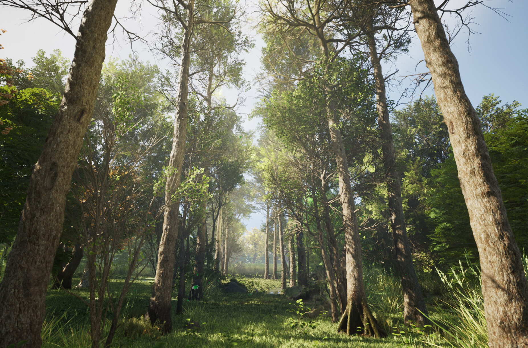 ArtStation - Realtime Forest