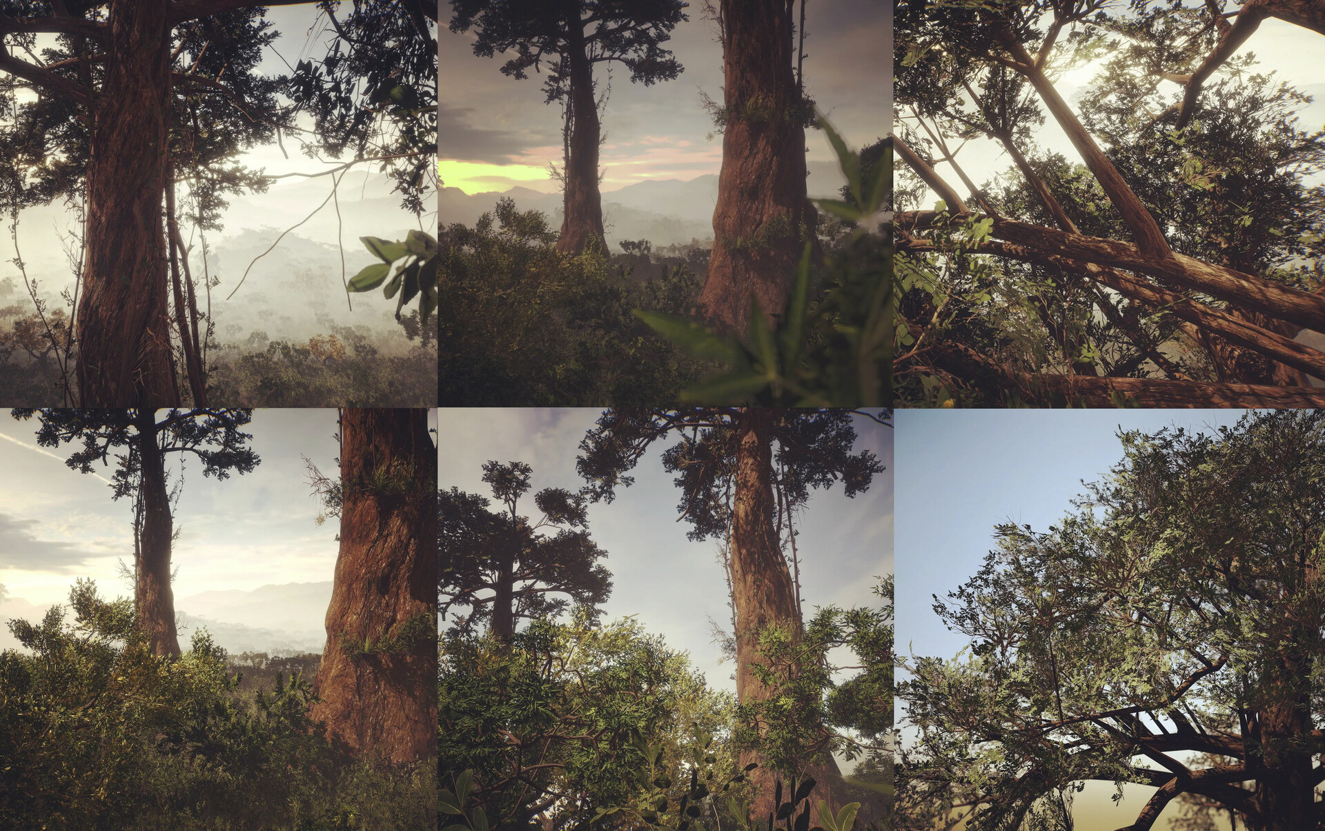 ArtStation - Giant trees and vegetation / Unreal Engine 5.1