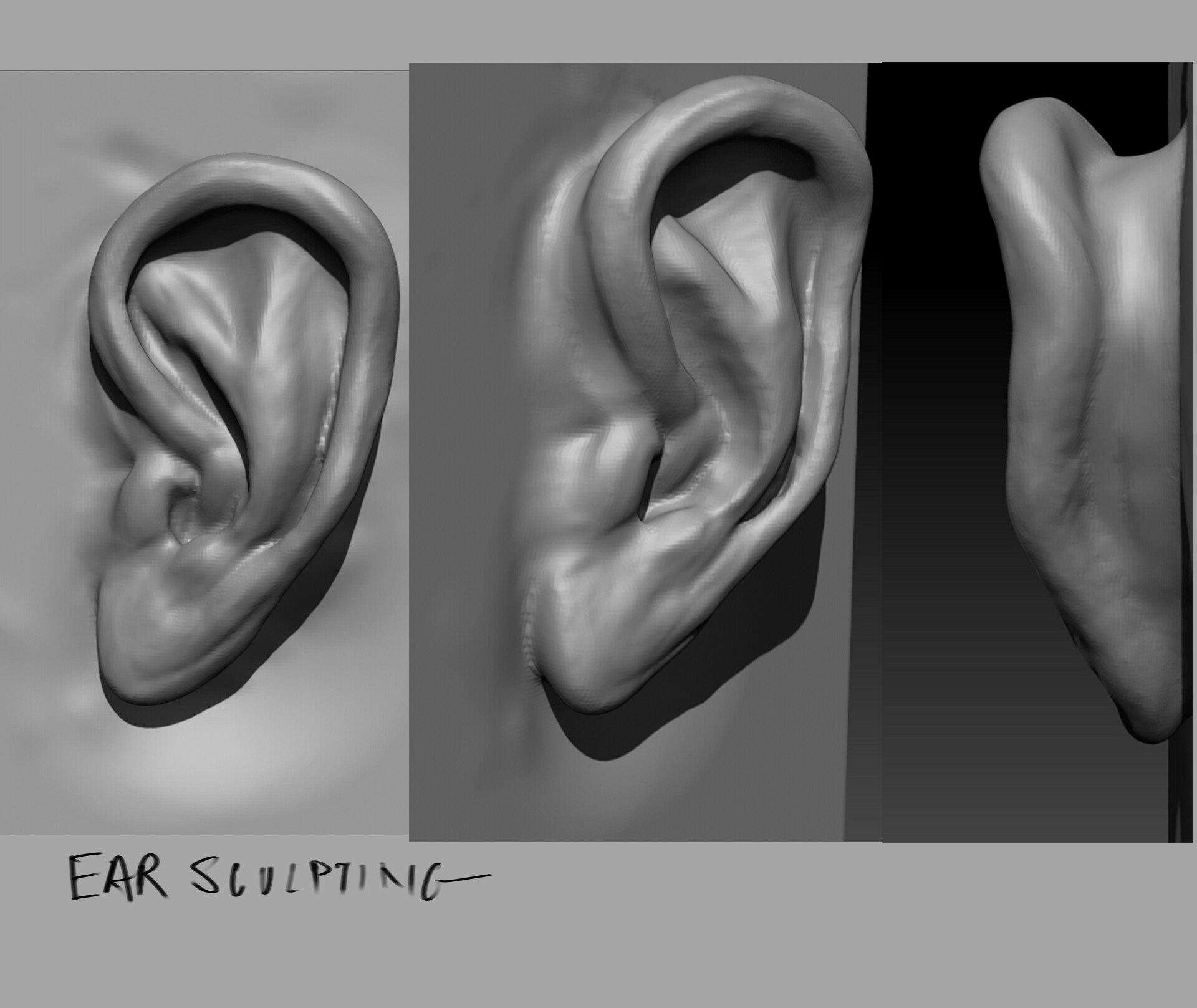 ArtStation - Ear_sculpting