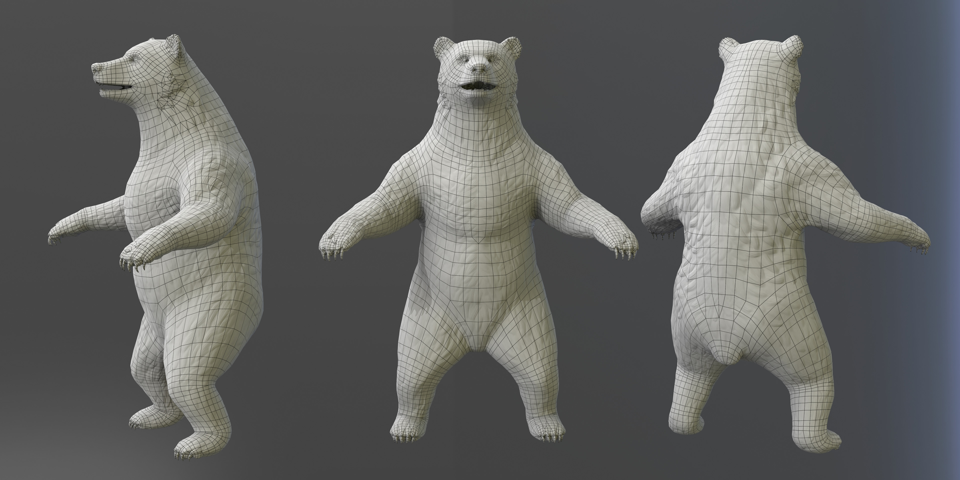 Doug Crawford - Coors Light "Chill Bear"