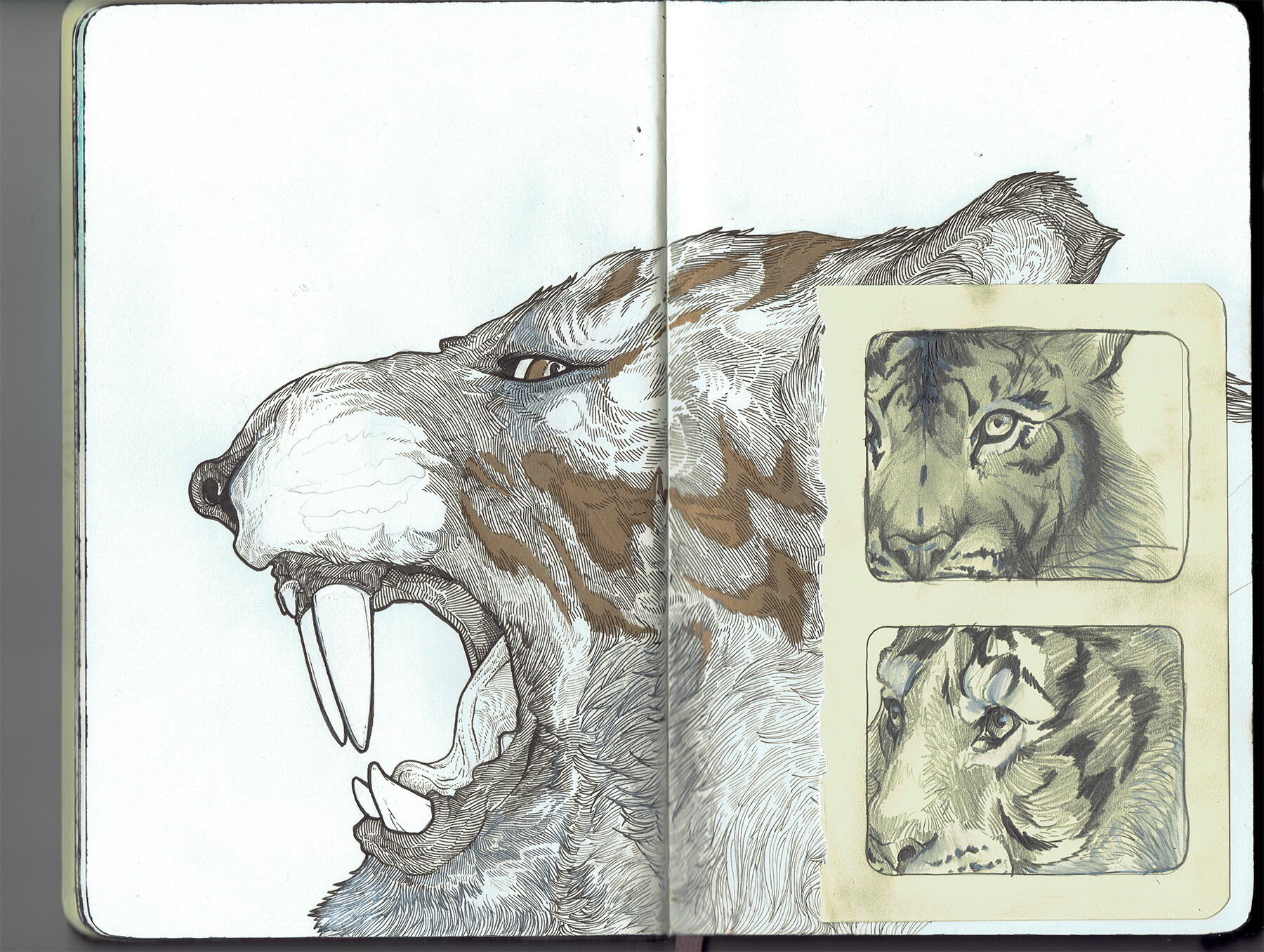 ArtStation - failed tigers