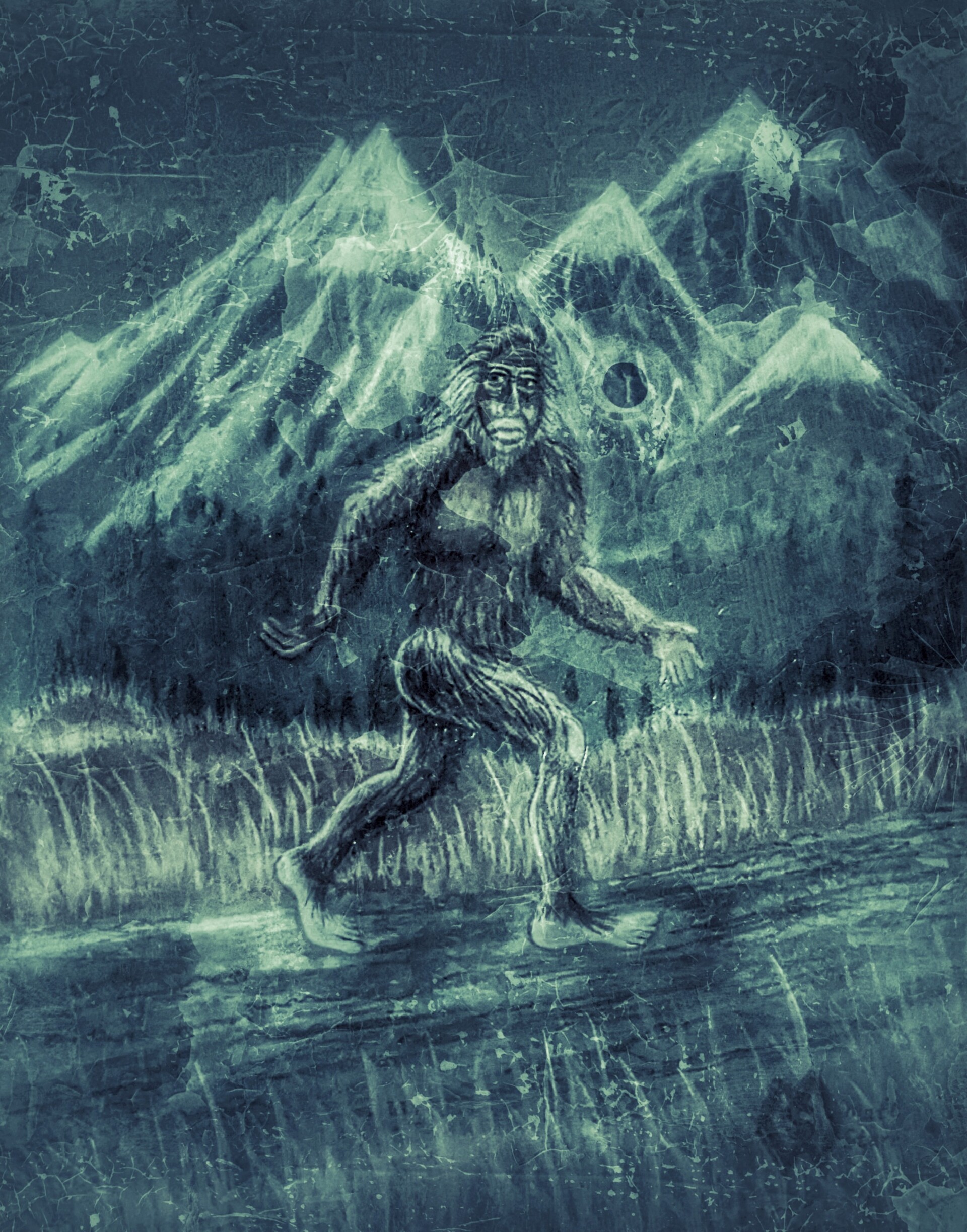 ArtStation - Sasquatch Hide and Seek