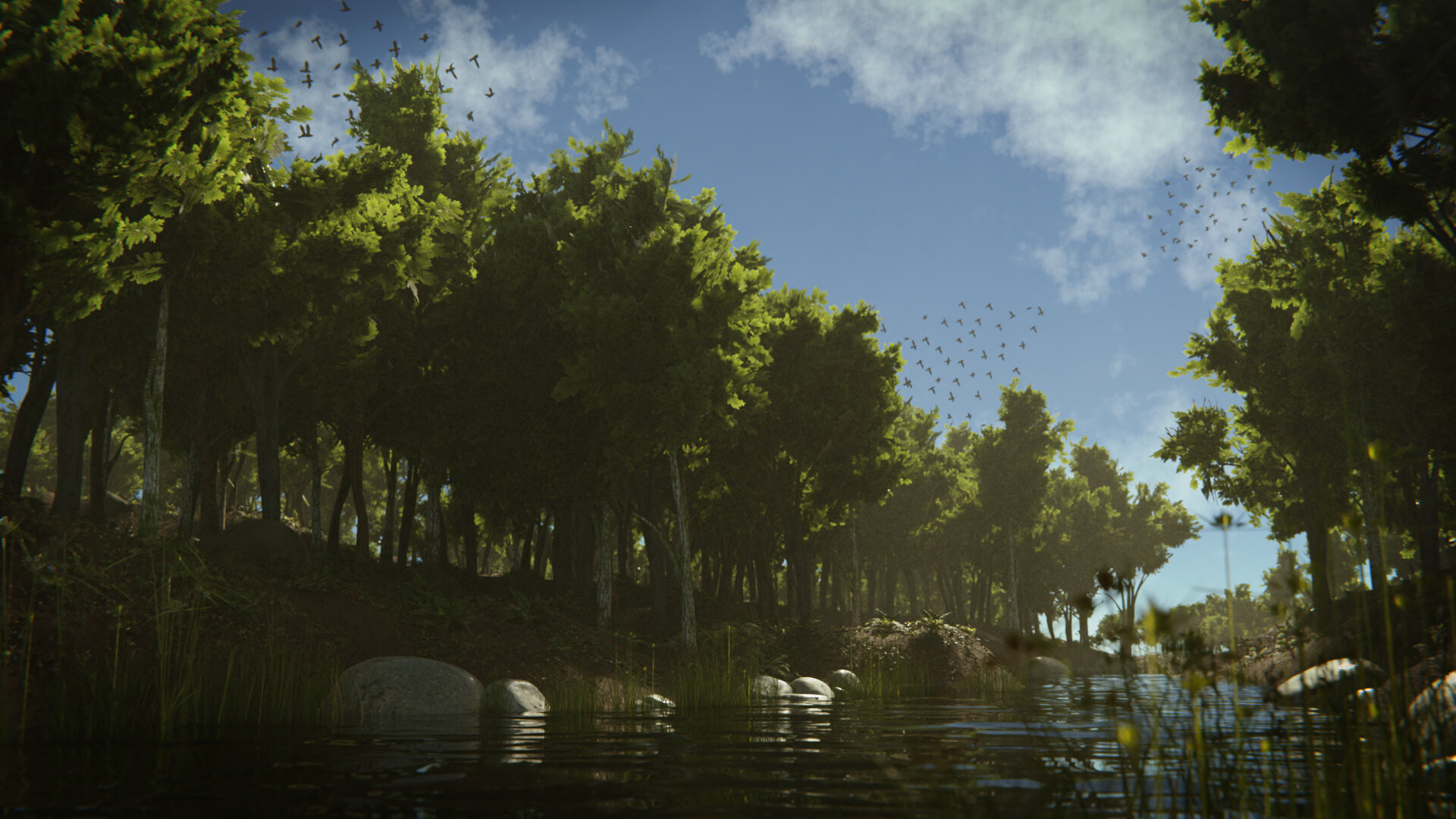 ArtStation - Brokilon Forest; The Ribbon