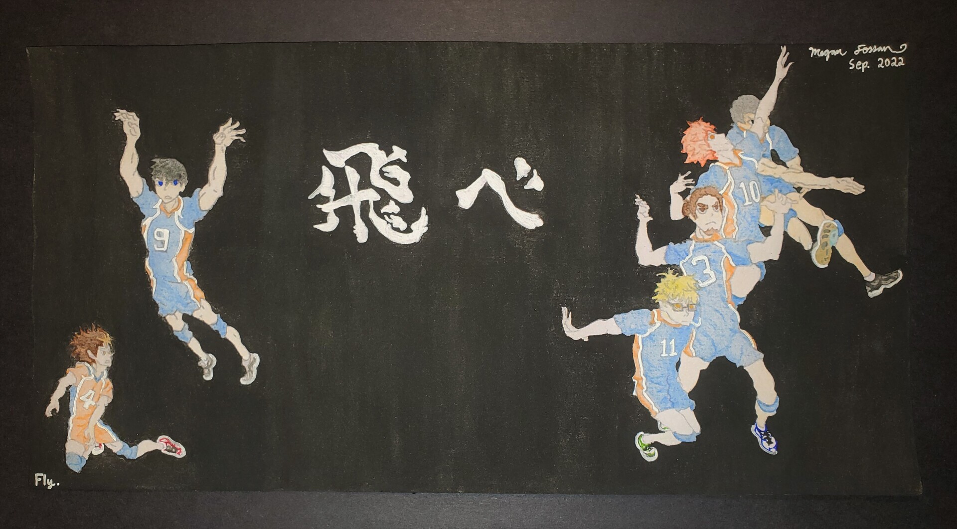 Haikyuu Karasuno Fly