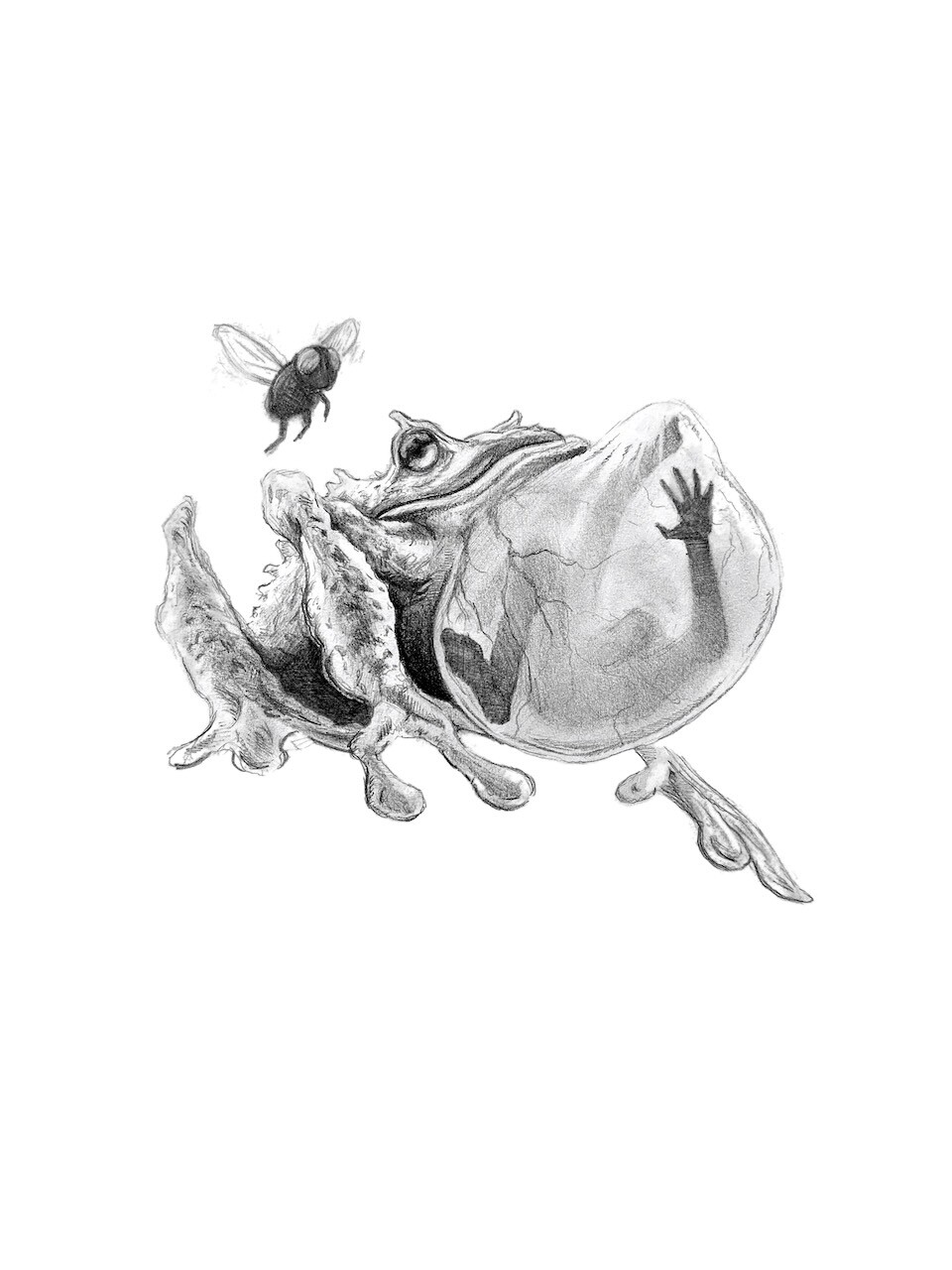 ArtStation - Big Frog