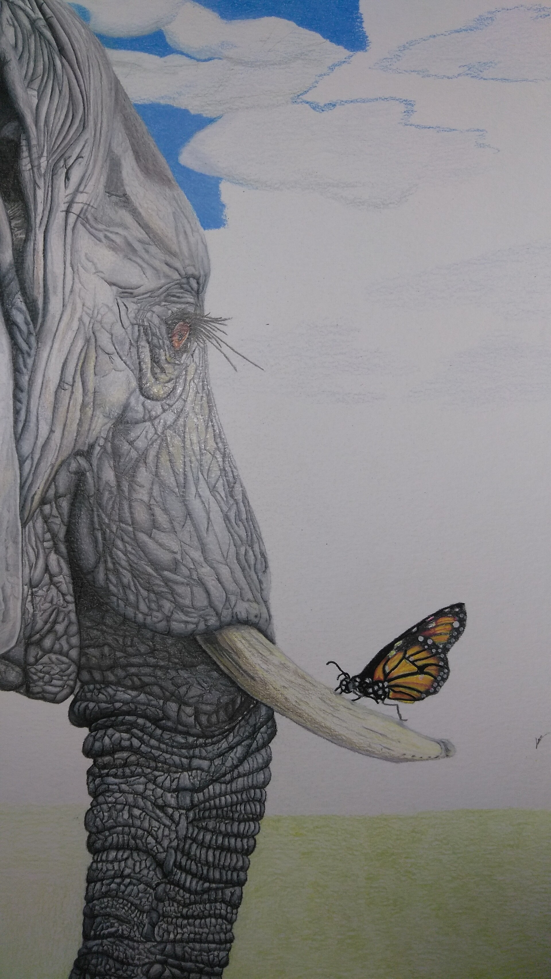 how to draw an elephant with colored pencils