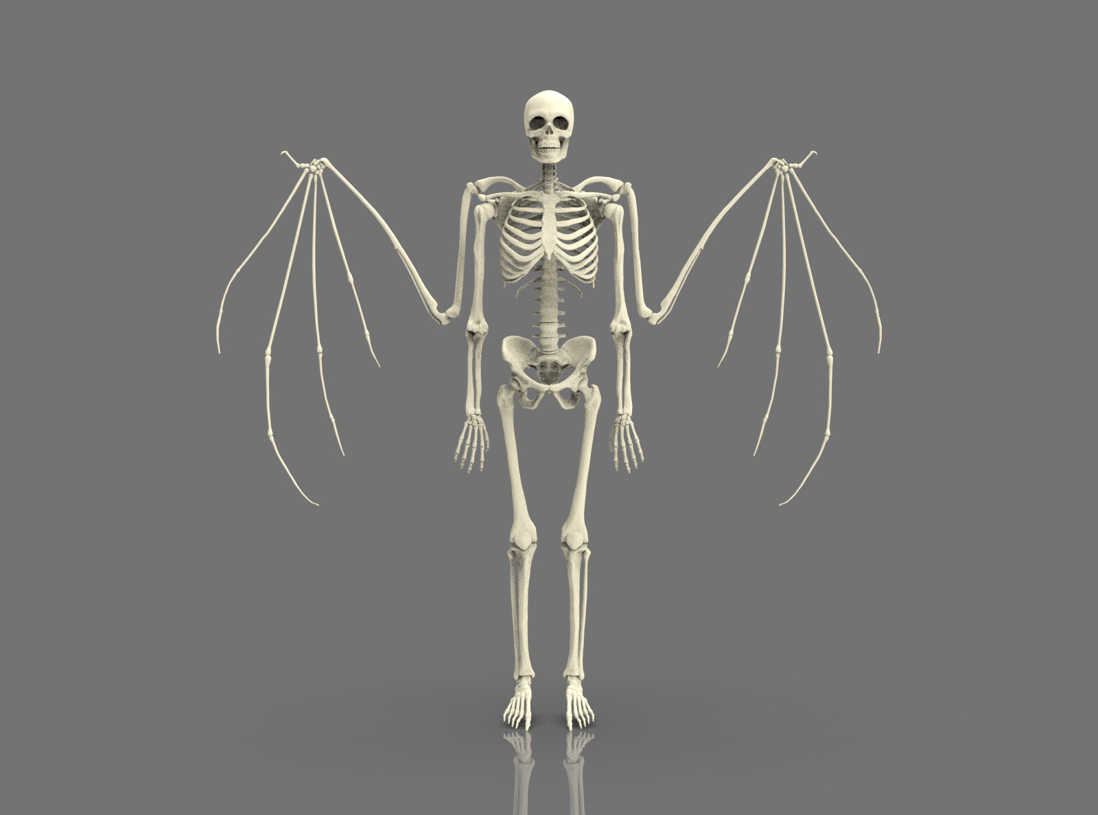 ArtStation - SKELETON WITH WINGS 3D PROP