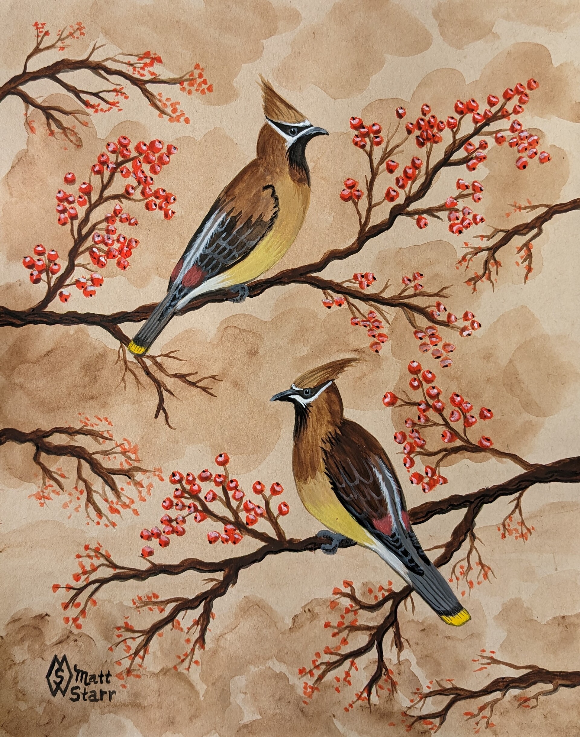 ArtStation - Cedar waxwing birds perched in a tree