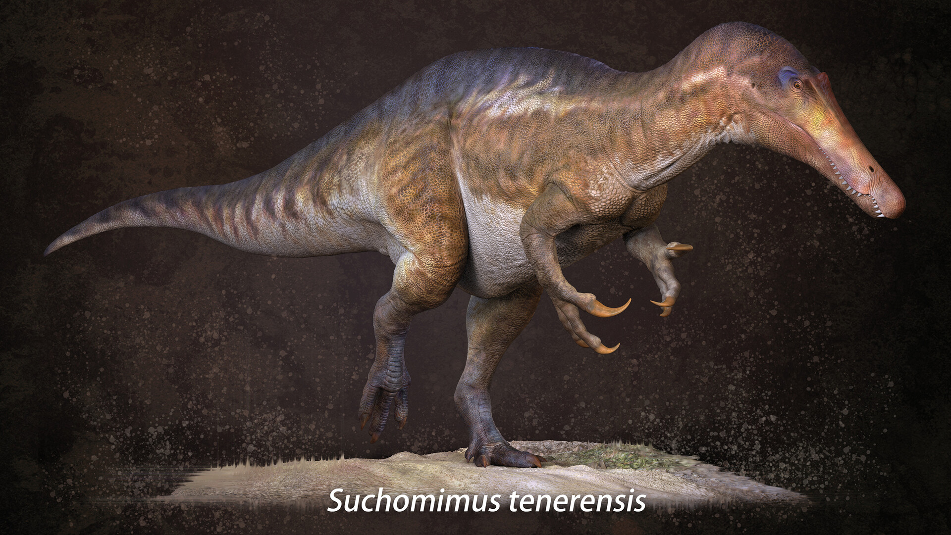 Suchomimus By Muelasangrienta On