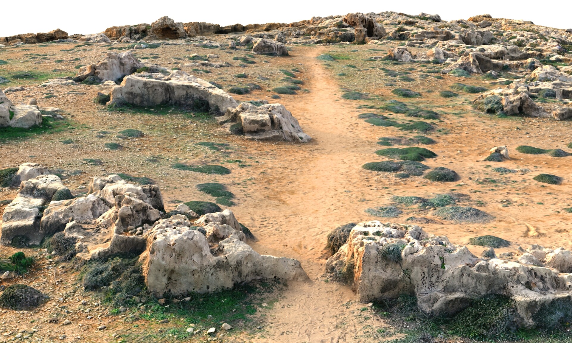 ArtStation - African Terrain Ultra Scan 32K