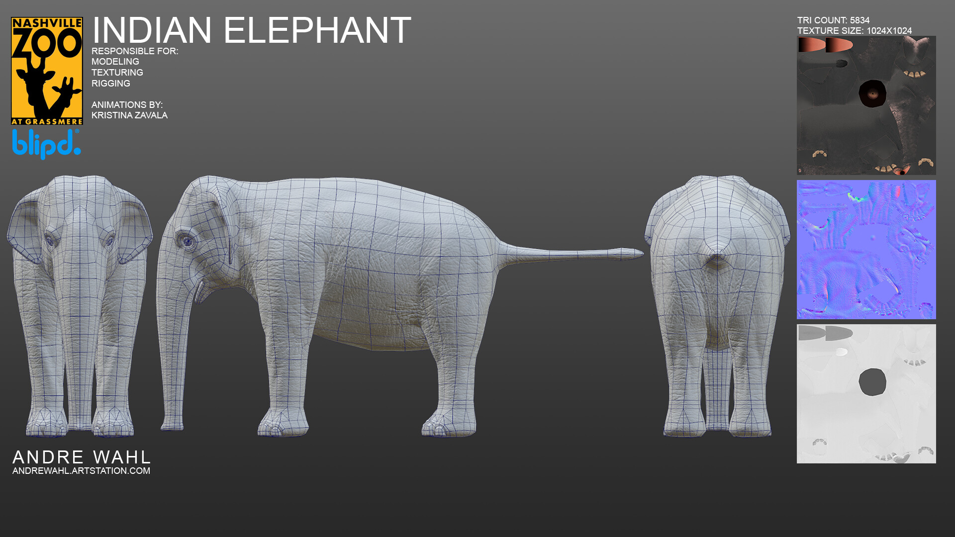 Andre Wahl - Female Indian Elephant Mobile Game Asset