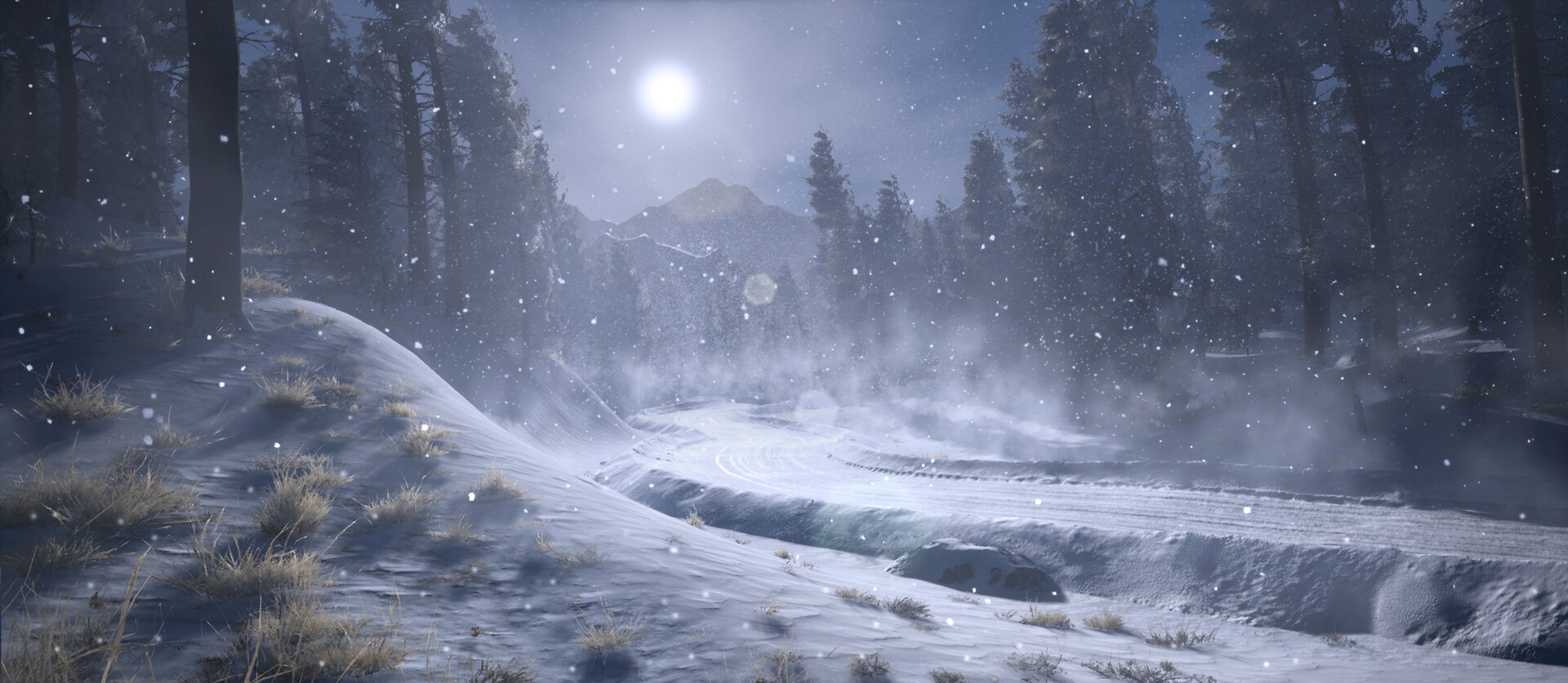 Night Forest Blizzard