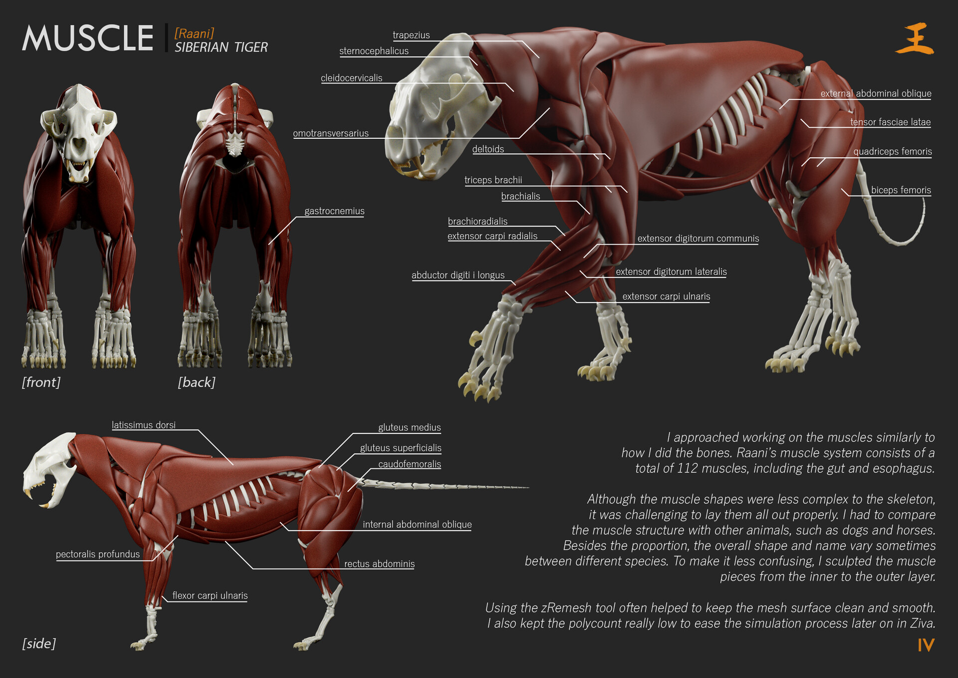Rishen.Art - Raani The Siberian Tiger.