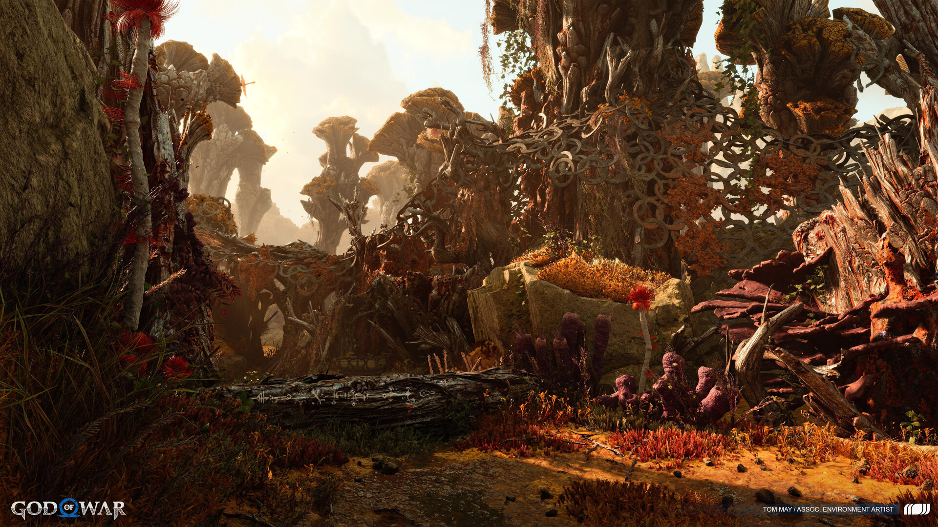 Tom May - GoW Ragnarok - Chainmail Canopy