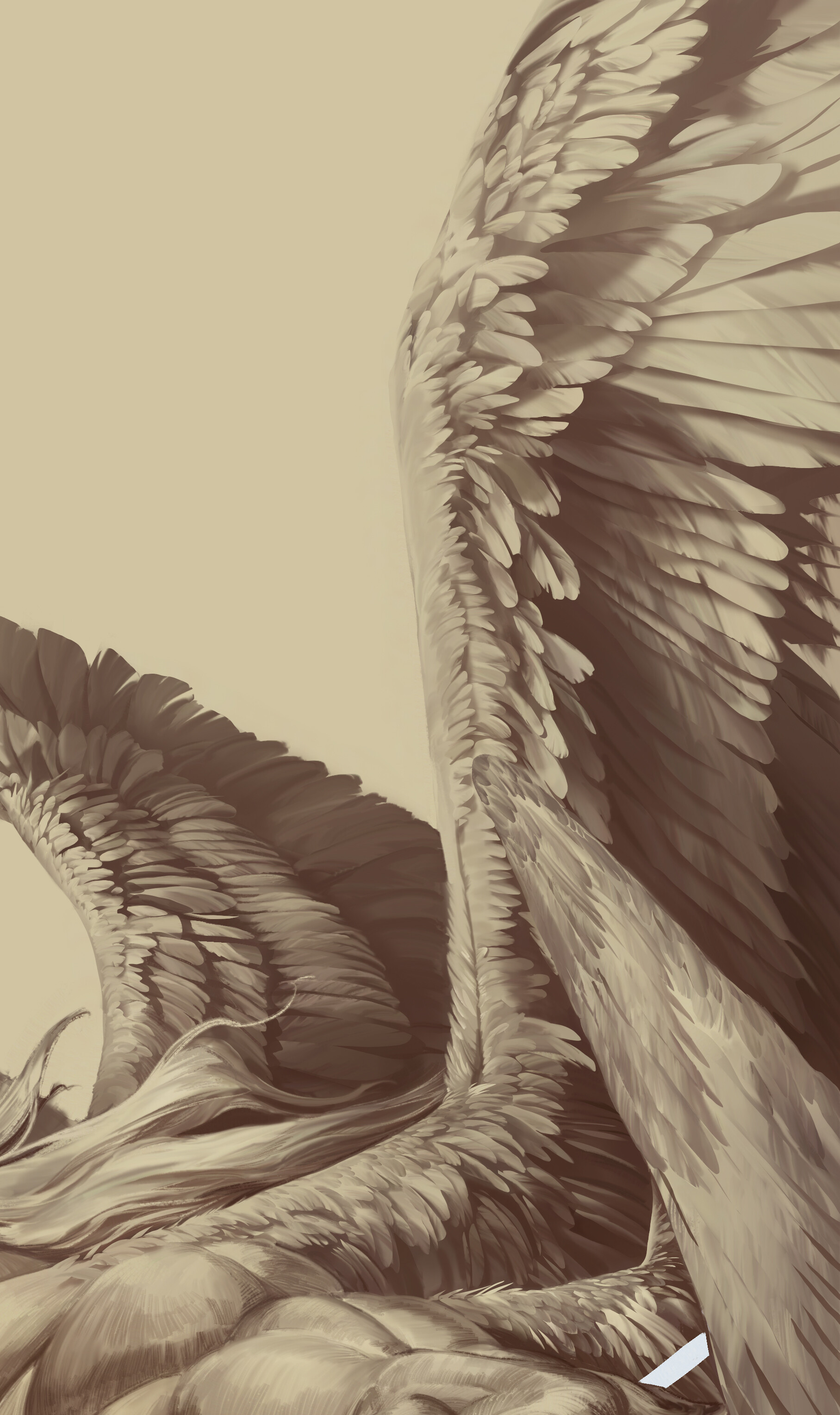 ArtStation - Wings practice