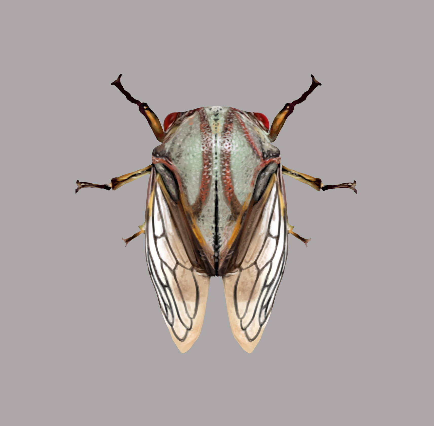 ArtStation - Insects