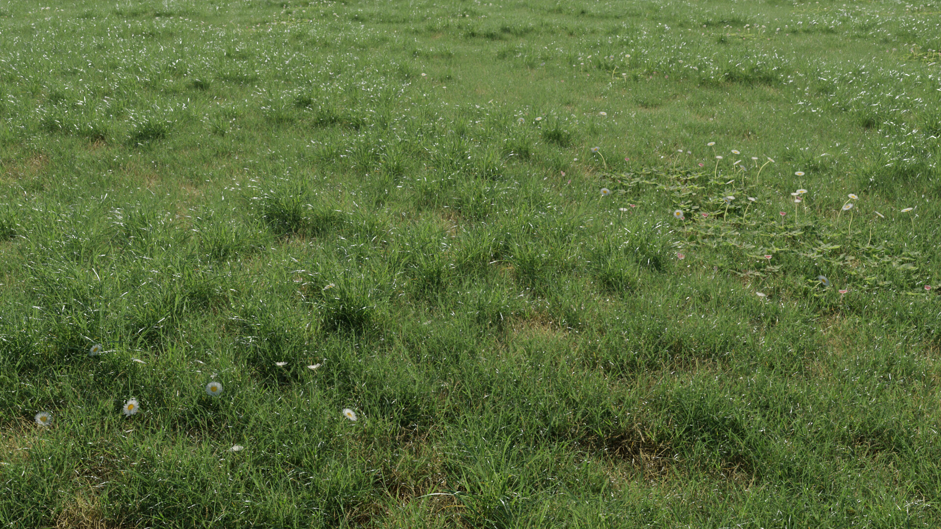 ArtStation - Grass Scene