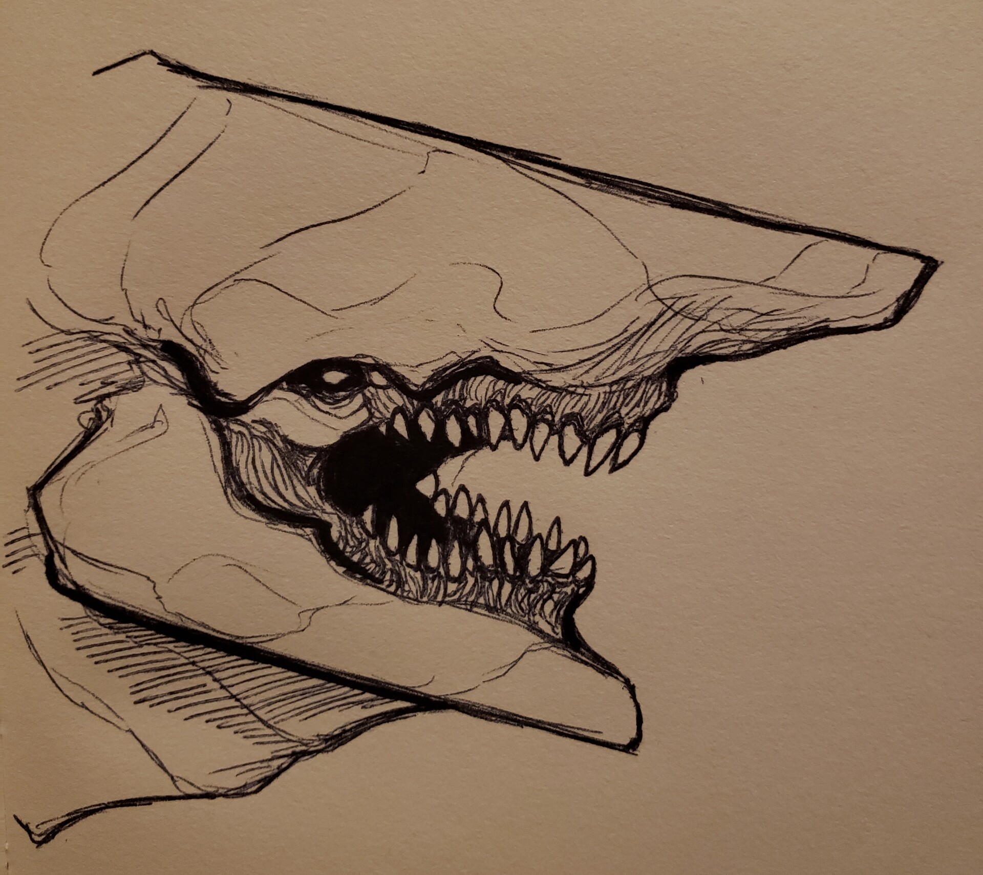 ArtStation - Sharp Dragon