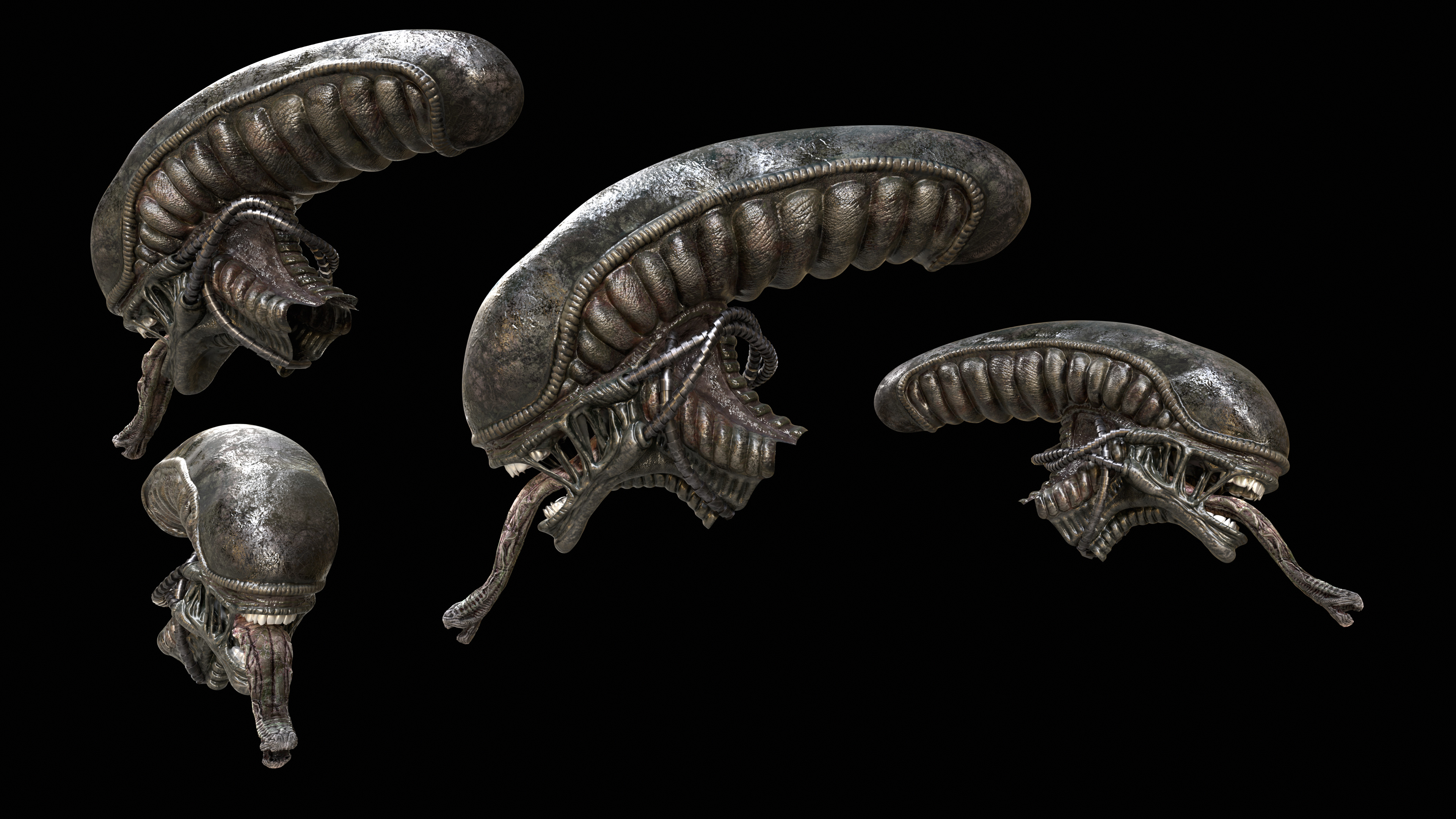 Xenomorph Head Profile