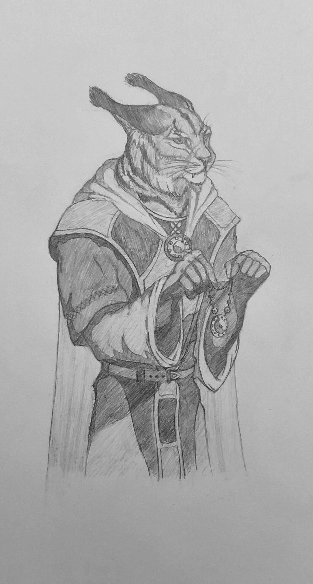 how to draw a khajiit step by step