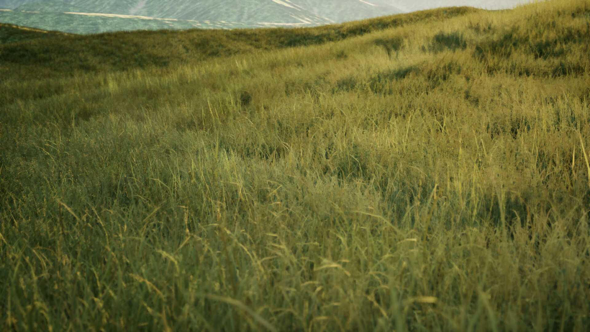 Henry Foley - Procedural Grass
