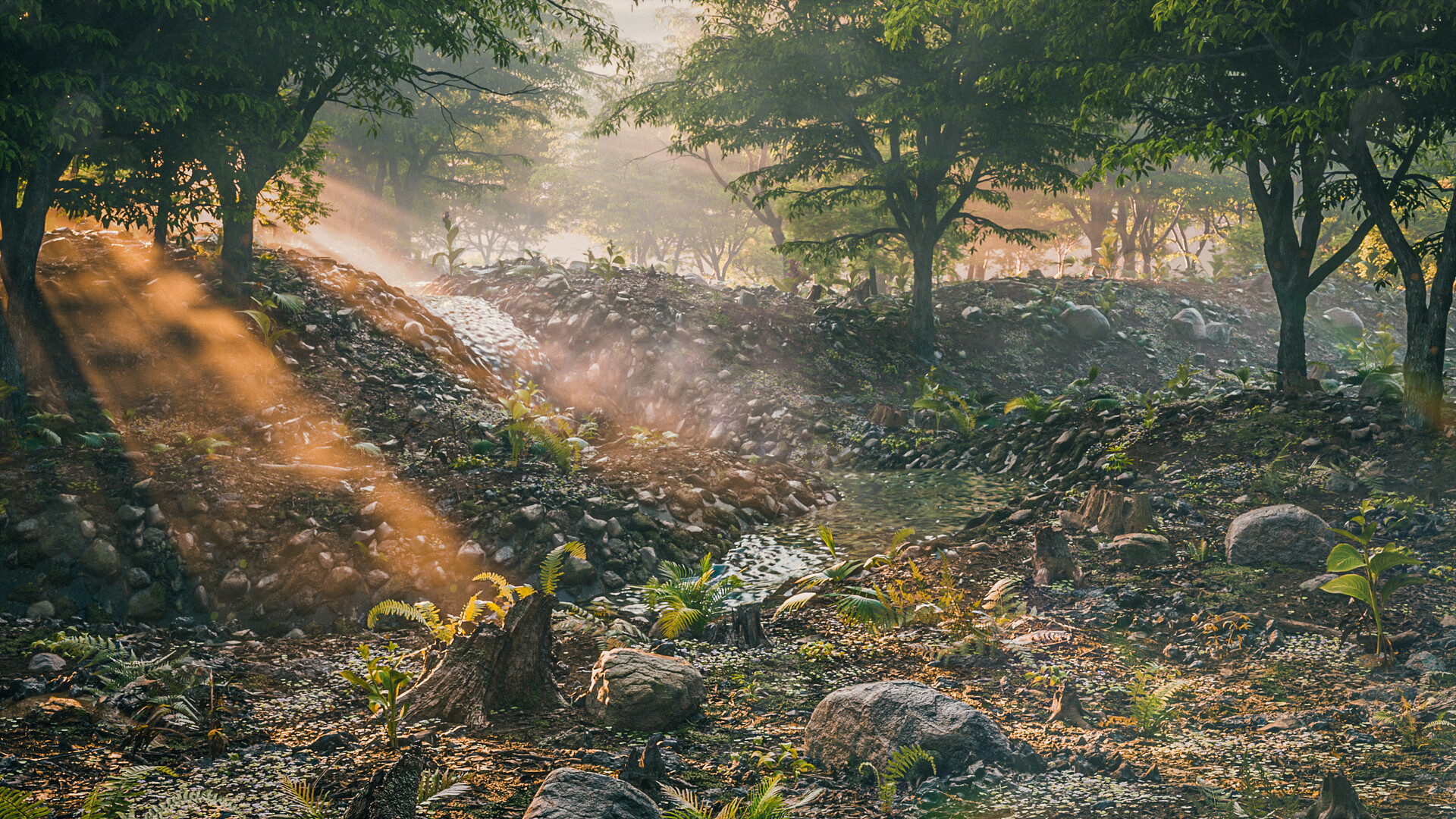 Lachlan Middleton - Mystical Mornings