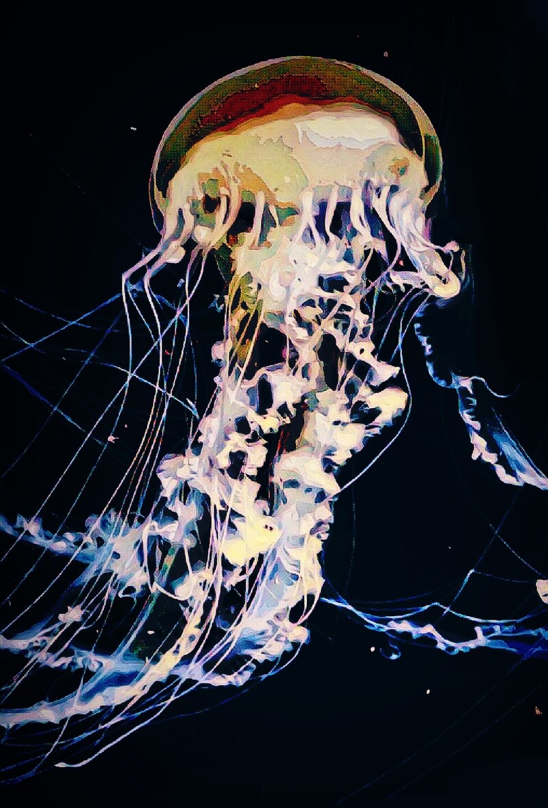 ArtStation - Basu Dev Kushwaha