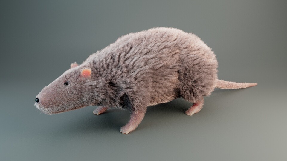 ArtStation - Fluffy rats