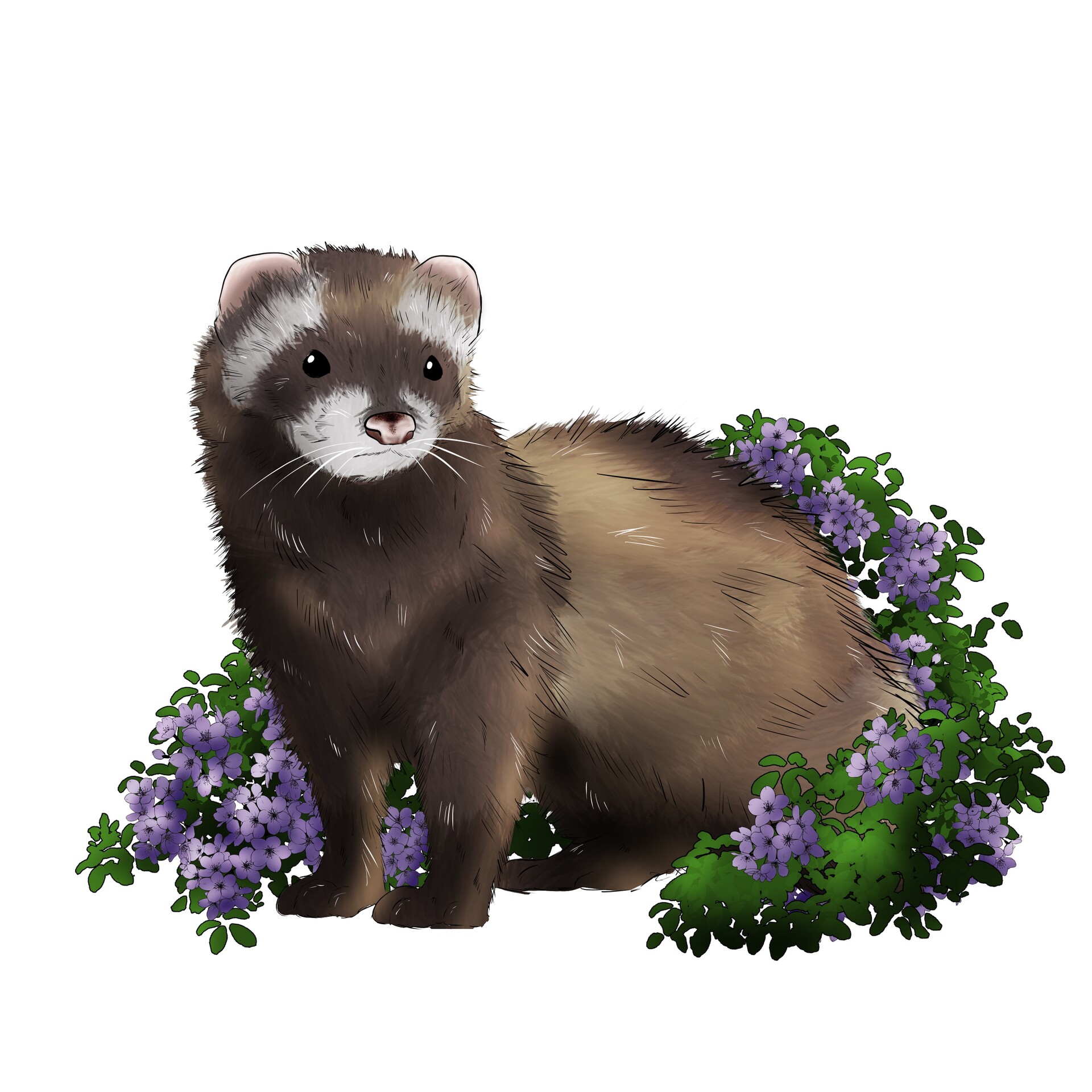 ArtStation - Ferret