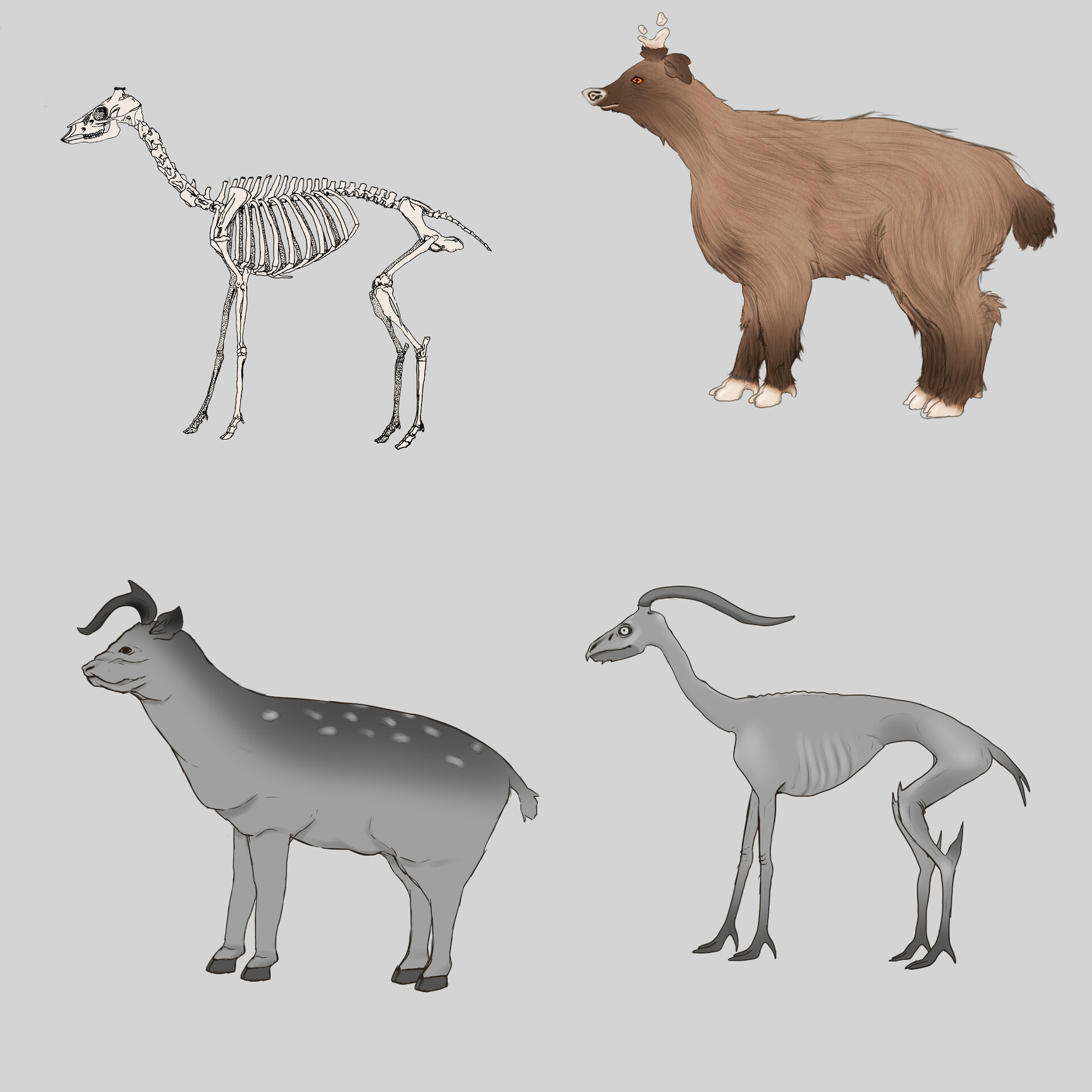 ArtStation - Deer Skeleton