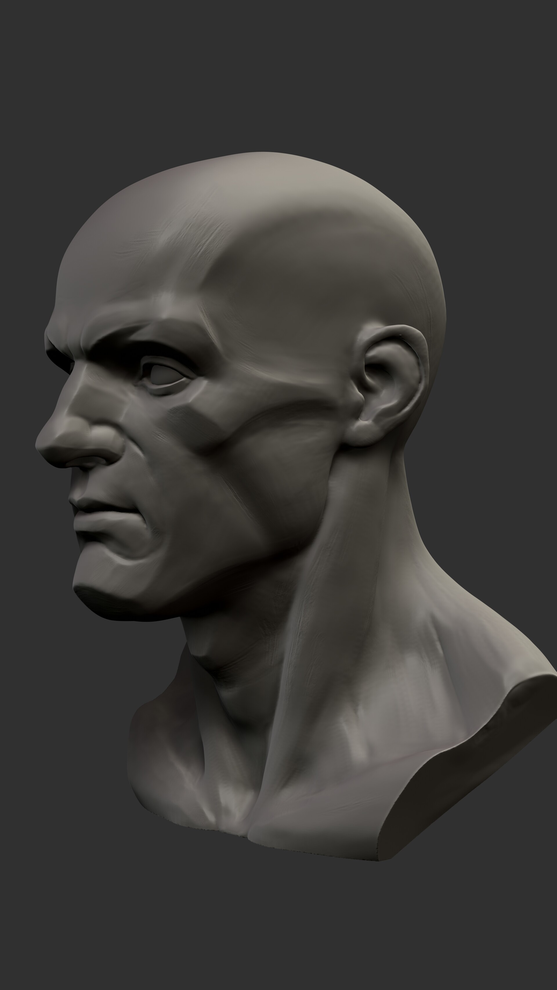 ArtStation - Head planes