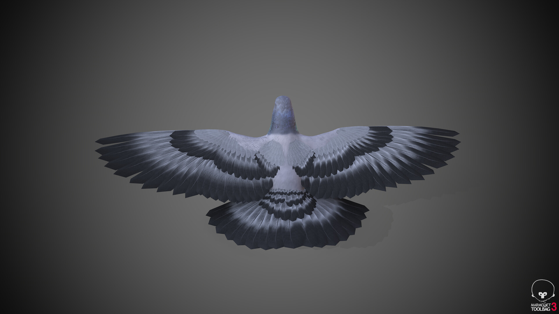 yash bhardwaj - Pigeon Character