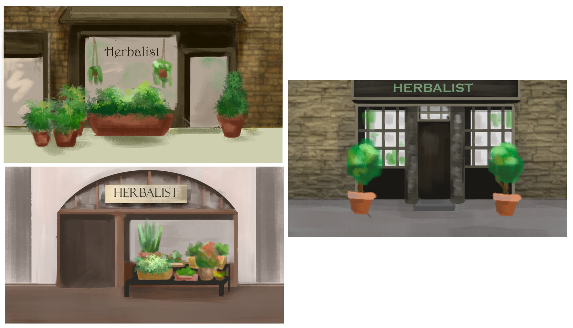 ArtStation - Herbalist shop - concept sketches