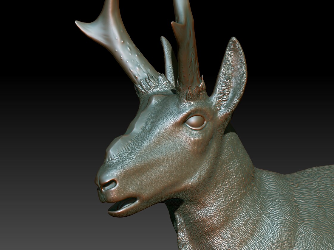 Mike Correia - Pronghorn Model