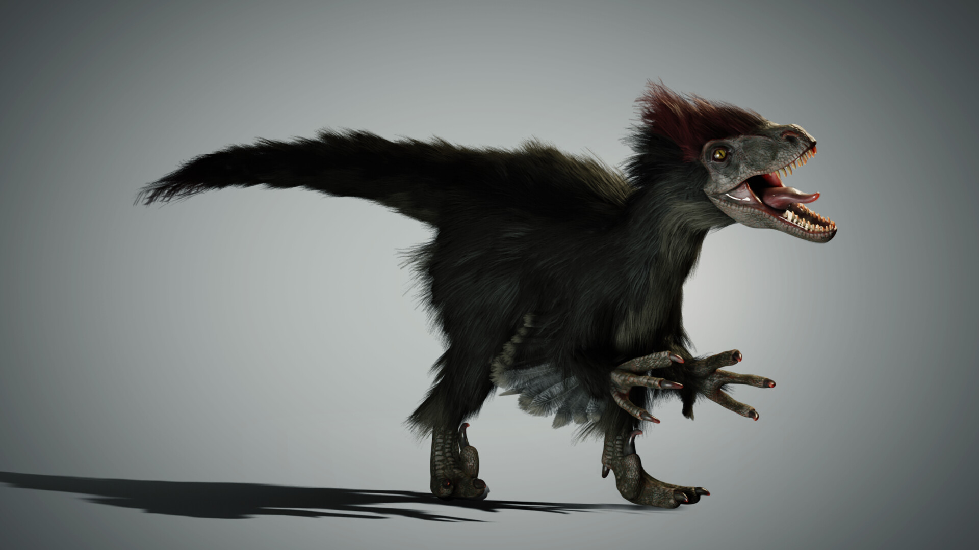 stefano costarelli - Raptor