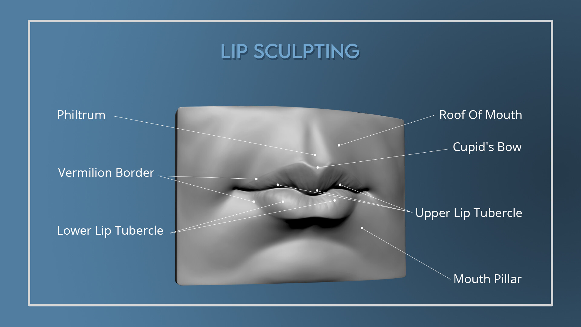 ArtStation - Lip - Sculpting by Sumana Ghosh
