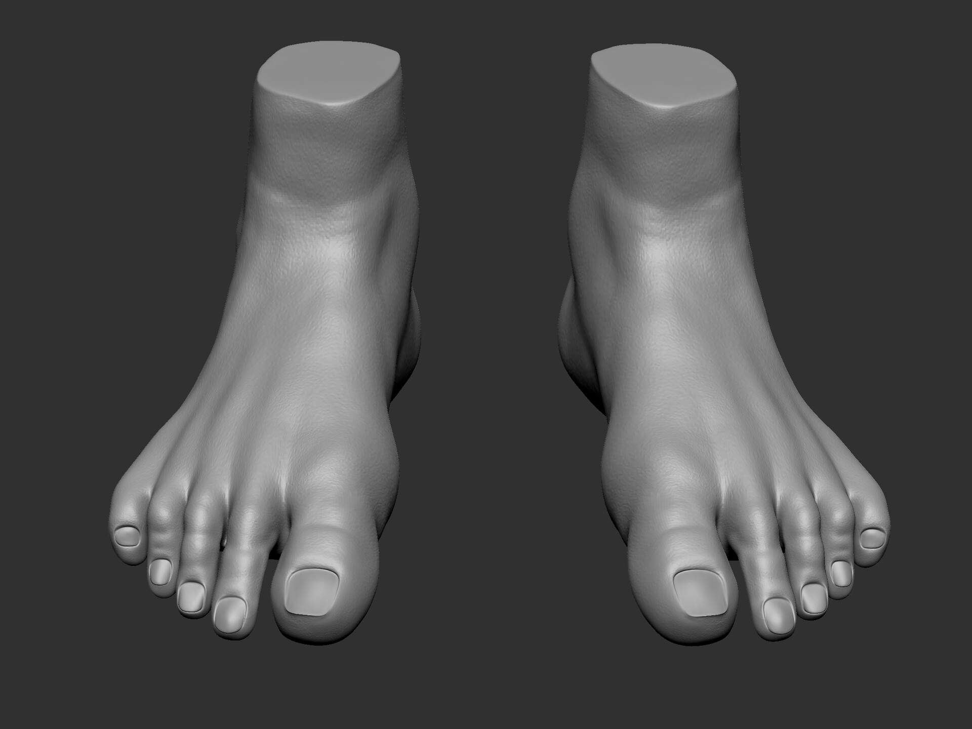ArtStation - Feet - Sculpting by Sumana Ghosh