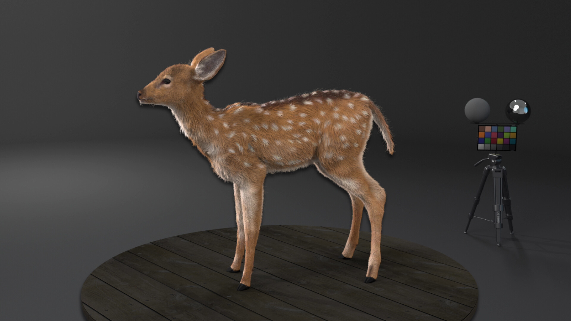 ArtStation - Baby Deer Character Modling | Grooming