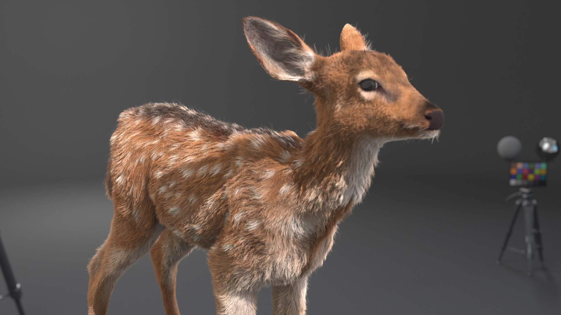 ravin wettasinghe - Baby Deer Character Modling | Grooming