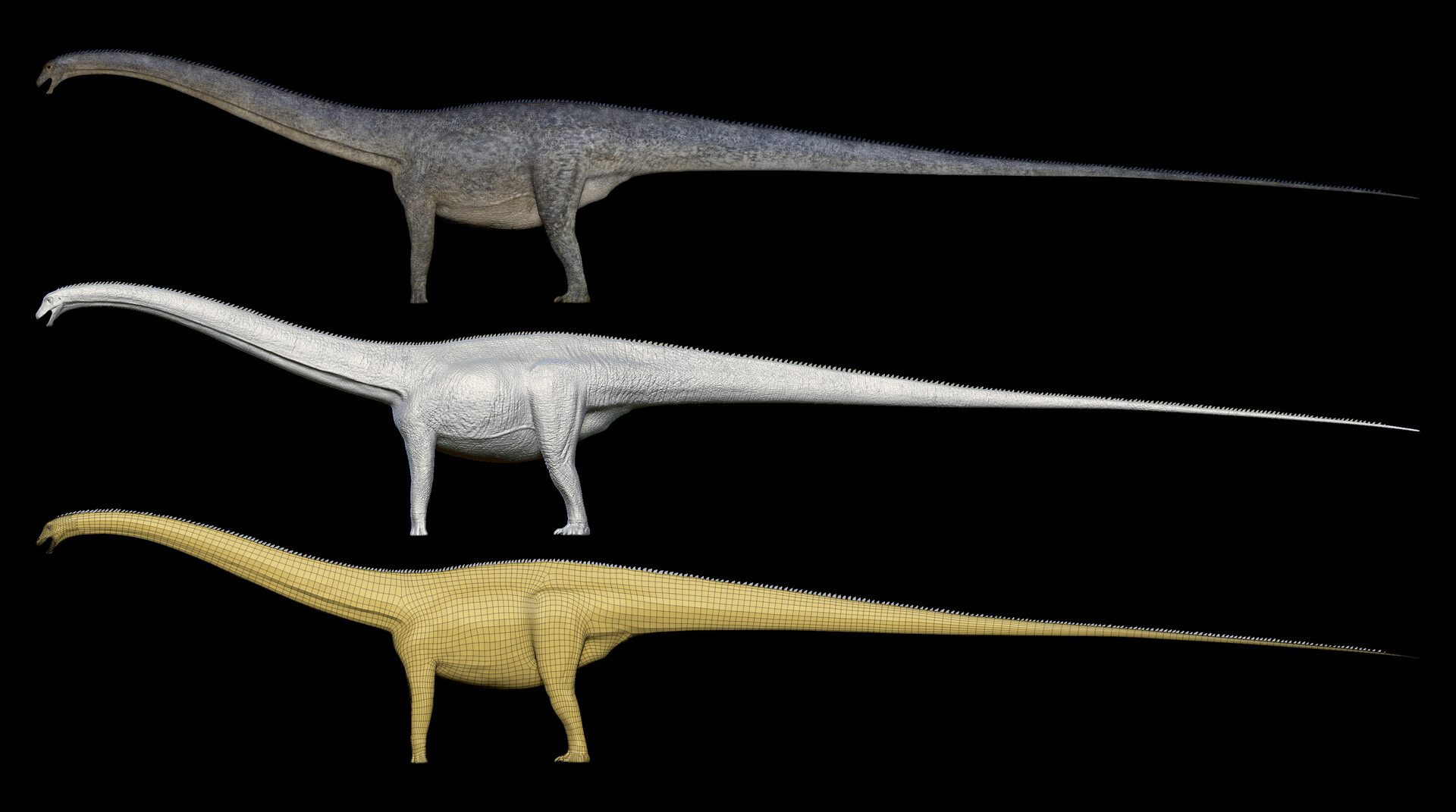 Cheung Chung Tat - Diplodocus carnegii